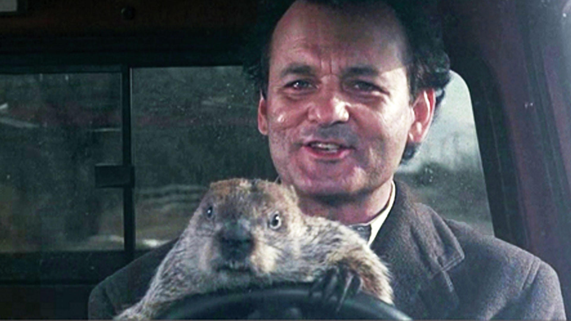 Catholic Drinks for Groundhog Day | Drinking With The Saints